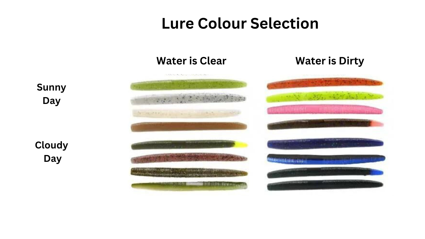 Guide To Choosing The Right Lure For Every Condition - Bass Fishing Canada